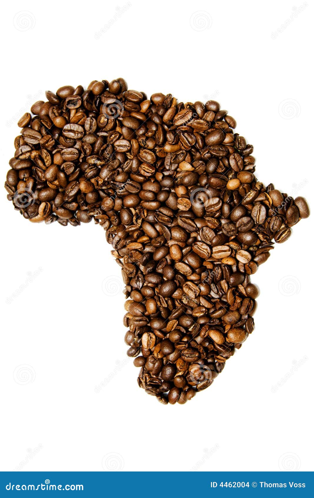 African Coffee stock photo. Image of coffee, copy, white - 4462004