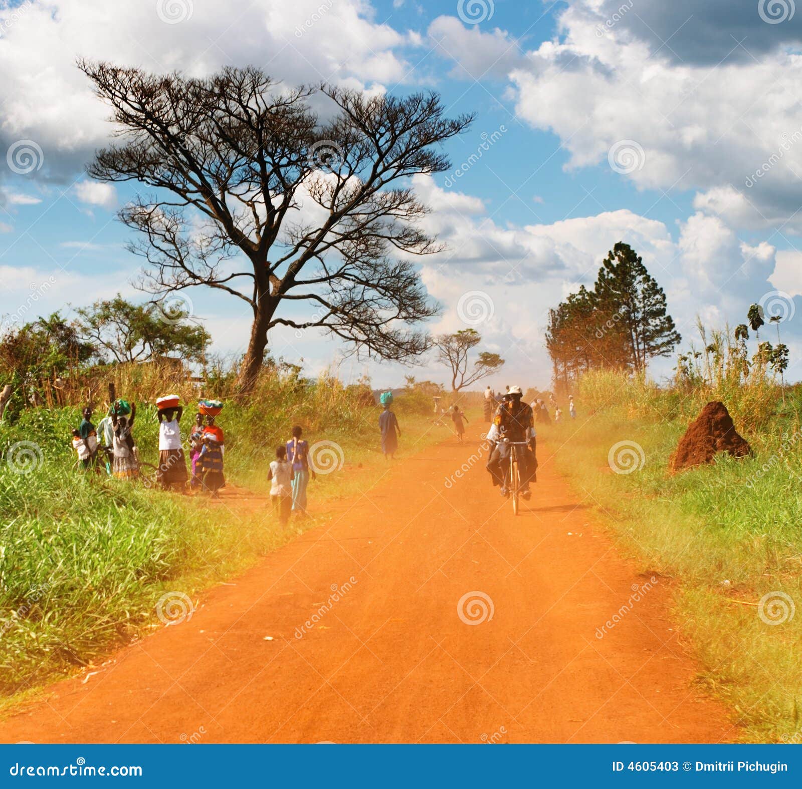 African countryside editorial stock photo. Image of sunny - 4605403
