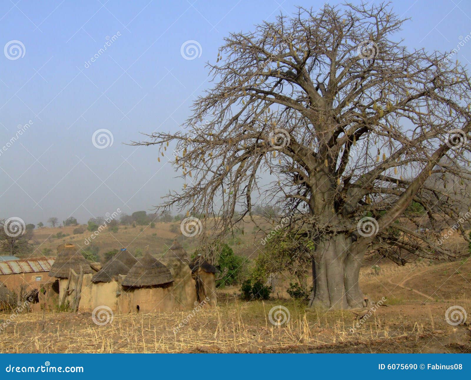 African countryside stock photo. Image of benin, earth - 6075690