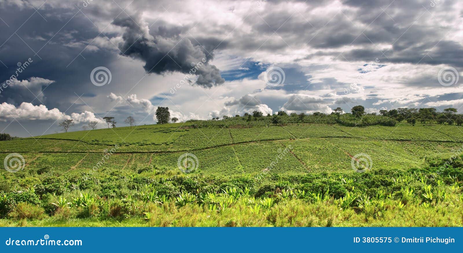 African Countryside Landscape Stock Image - Image of grass, clouds: 3805575