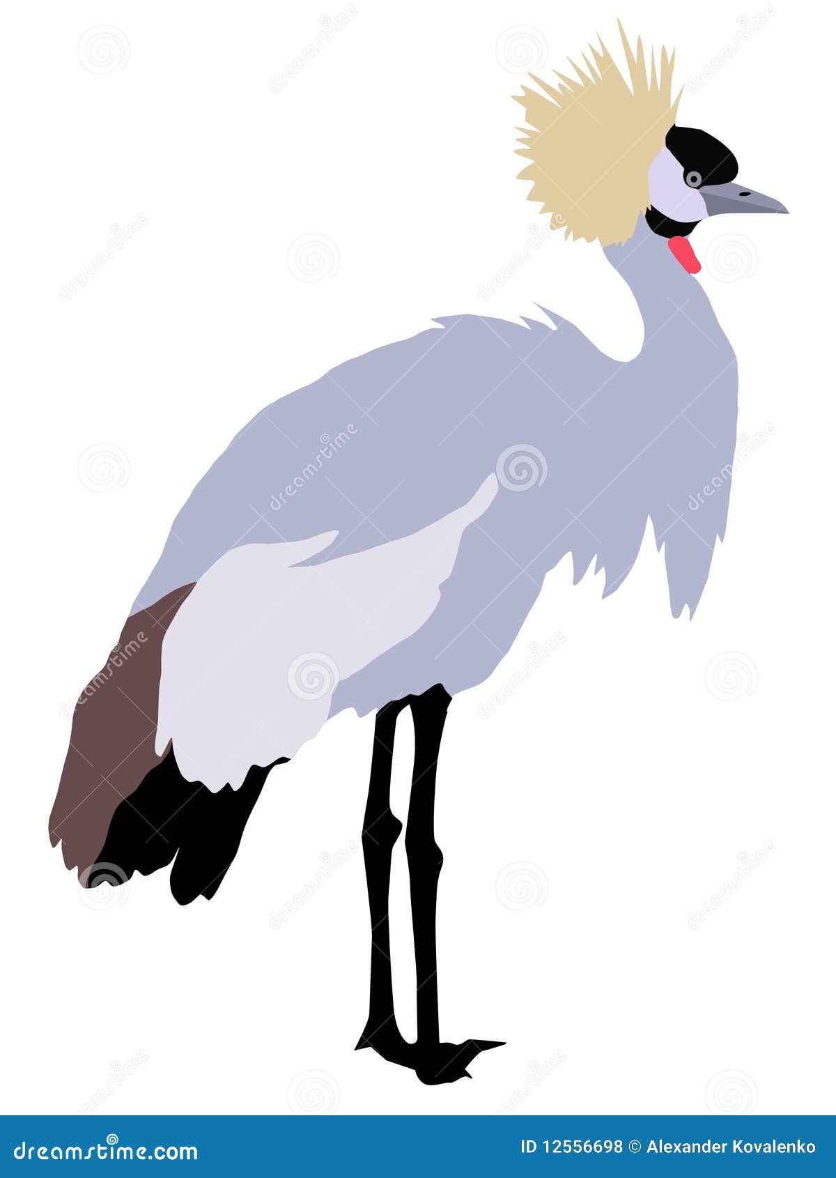 Red Crowned Crane Cartoon Vector | CartoonDealer.com #63320921