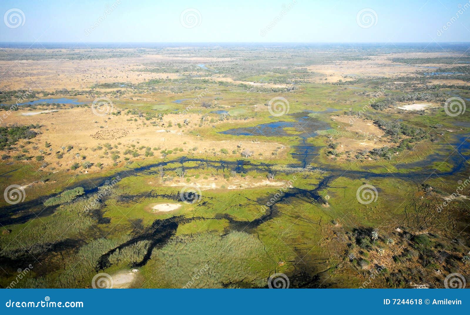 The african Delta 2 stock photo. Image of brown, african - 7244618