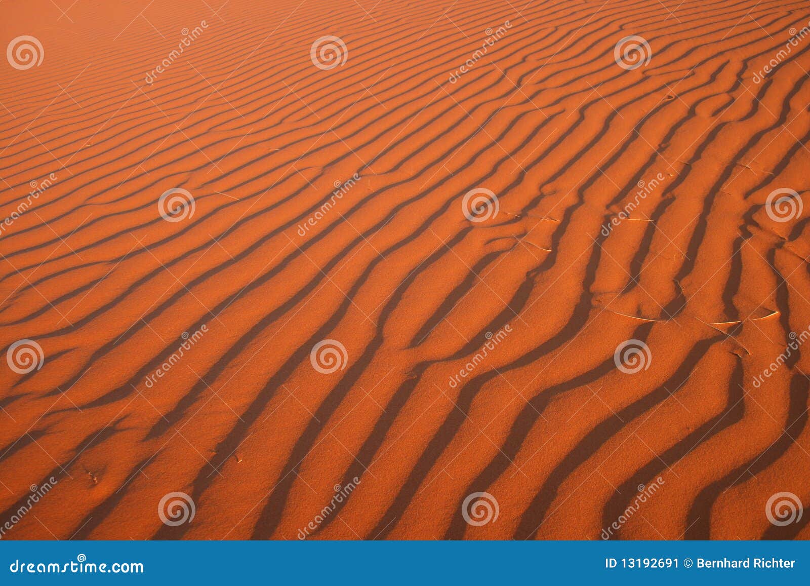 African desert stock image. Image of namibia, sand, sossusvlei - 13192691