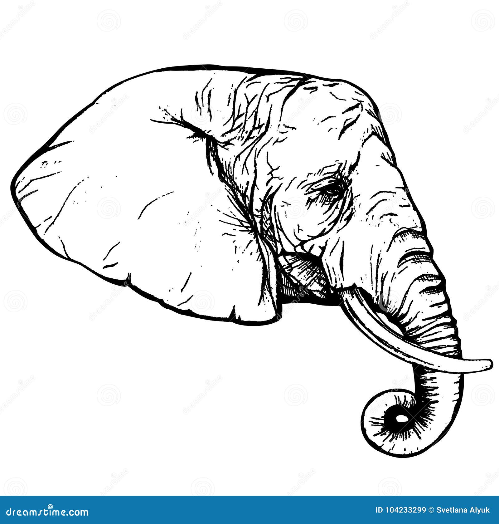 Elephant Profile Silhouette Black Vector Image | CartoonDealer.com ...
