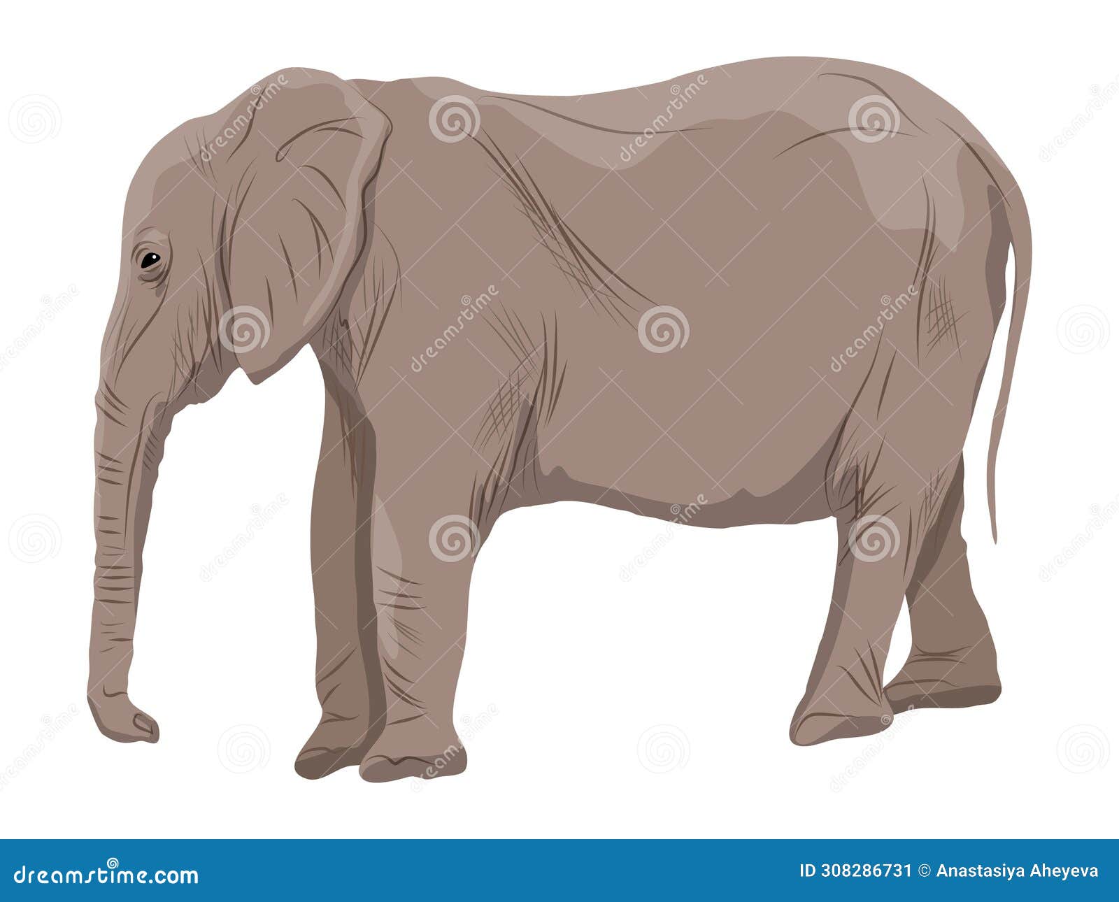 Elephant Realistic Simplified Drawing Vector Illustration ...