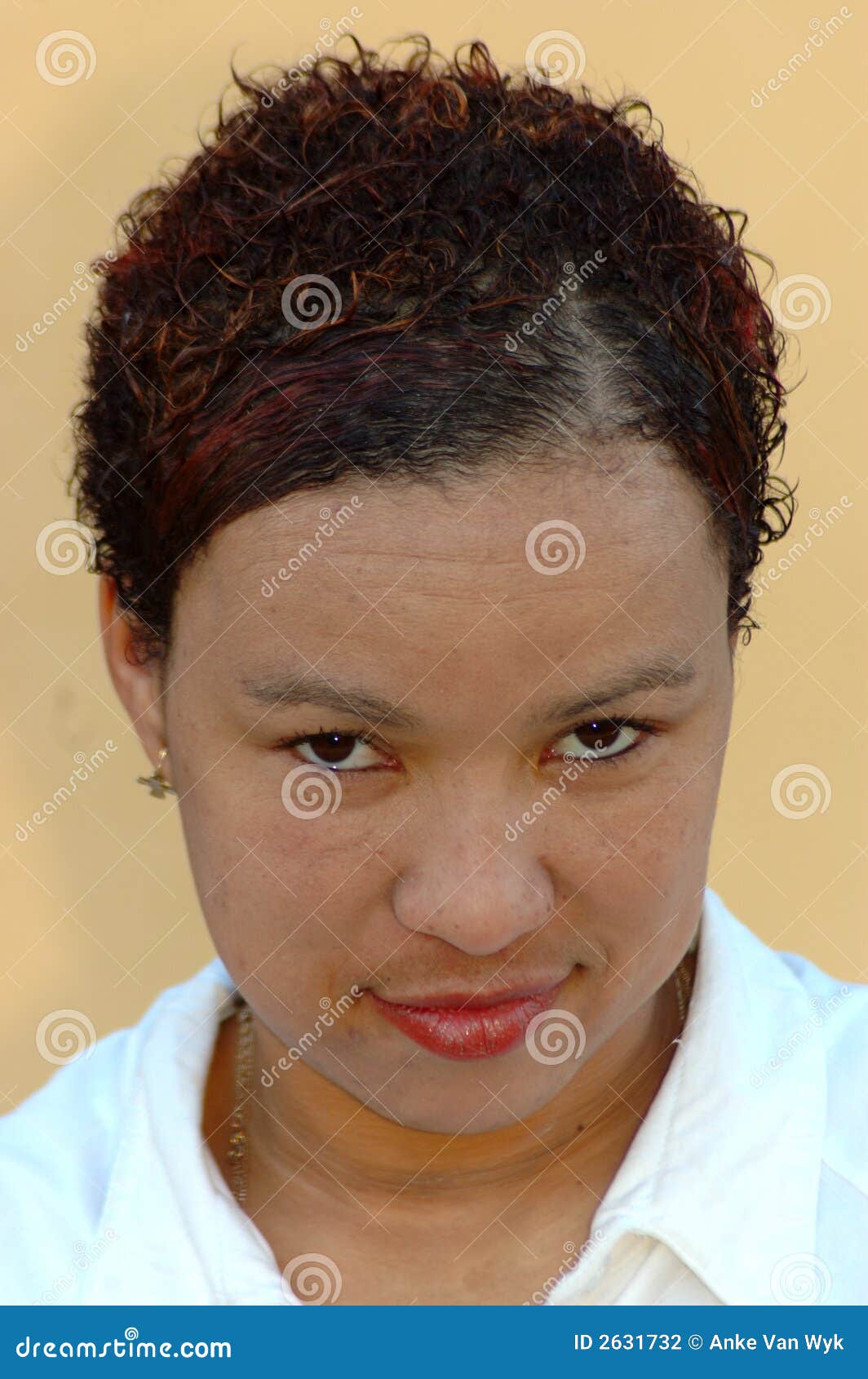 African face stock photo. Image of expressions, portrait - 2631732