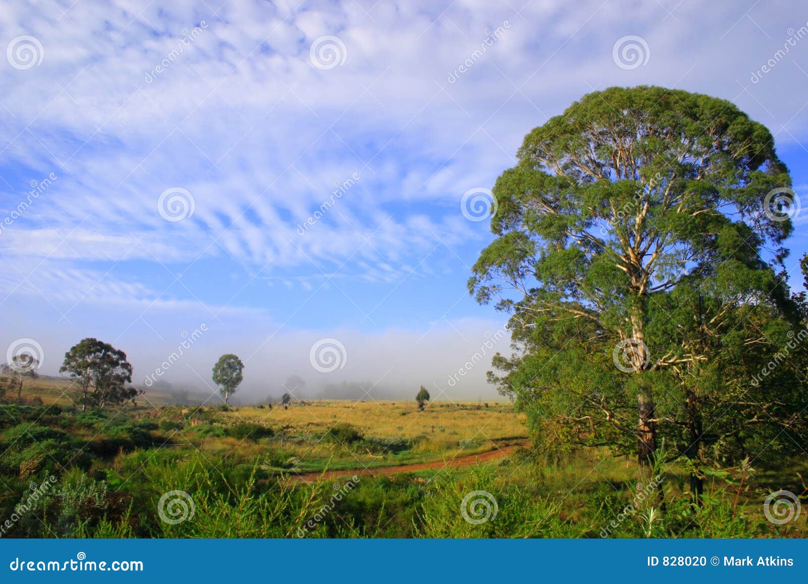 African farm landscape. stock photo. Image of dirt, ecology - 828020