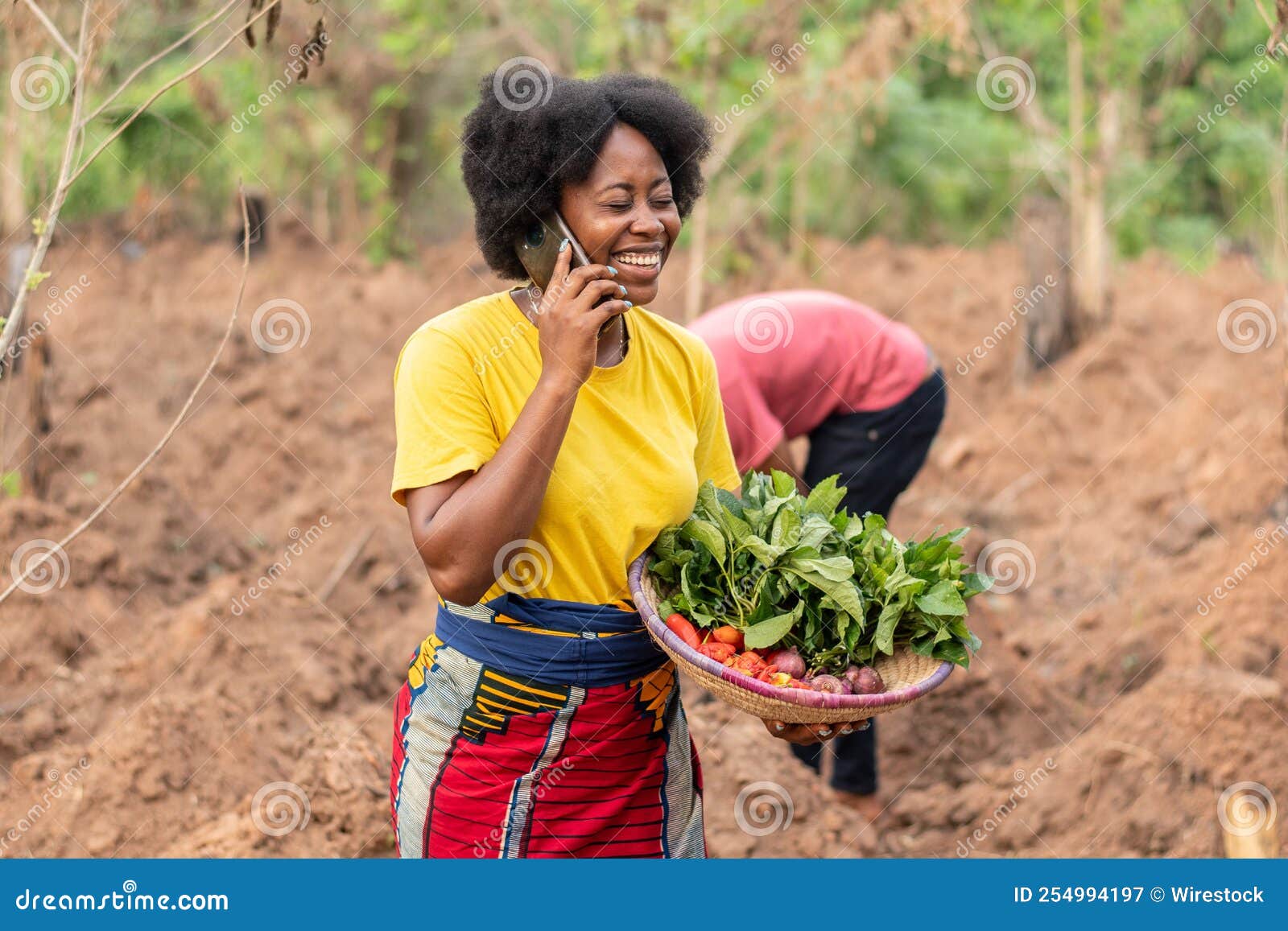 African Farmer Making a Phone Call Stock Image - Image of conversation ...