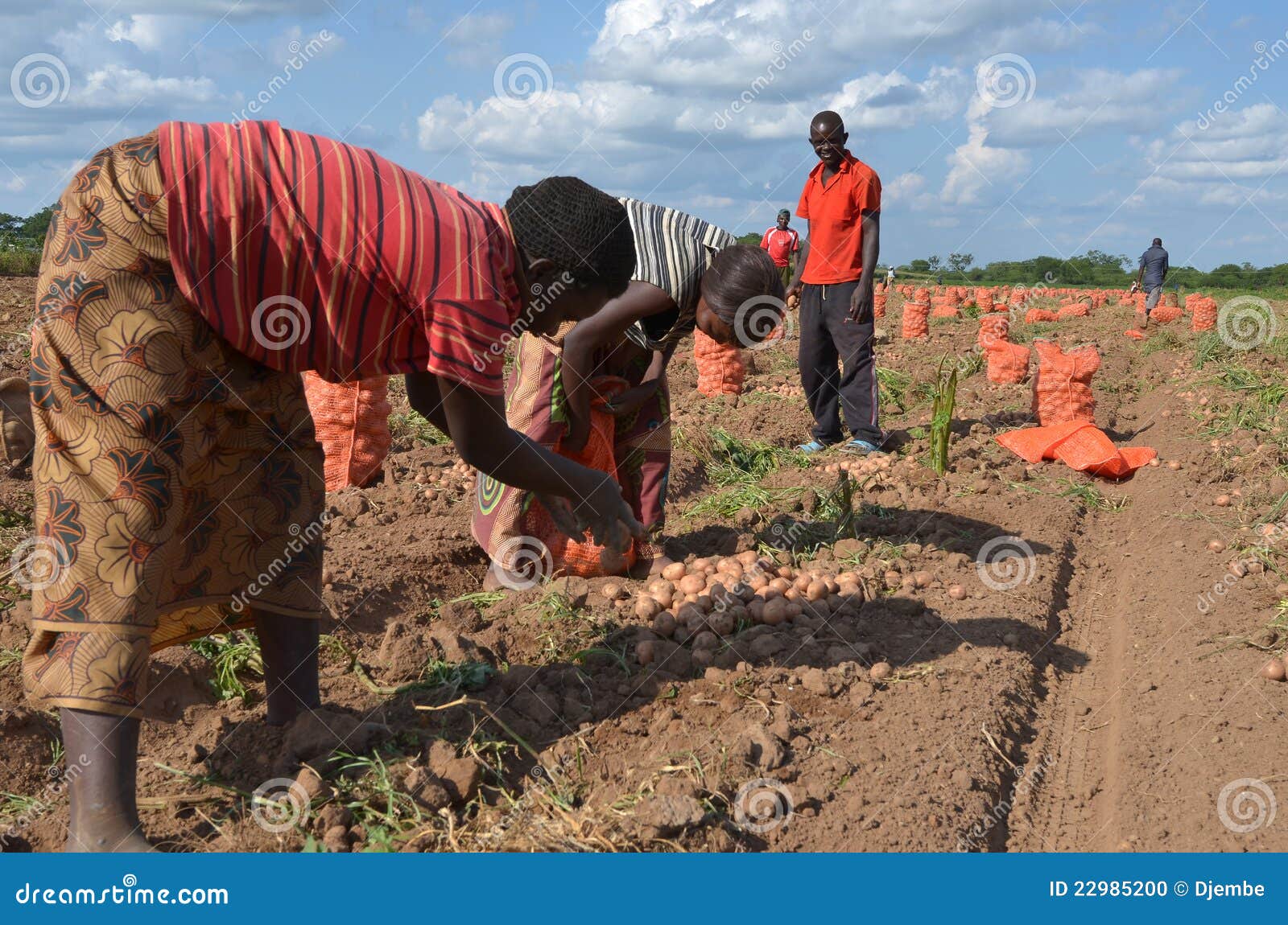 African Farmers Family Eating Lunch At Sabaki River Editorial Image ...