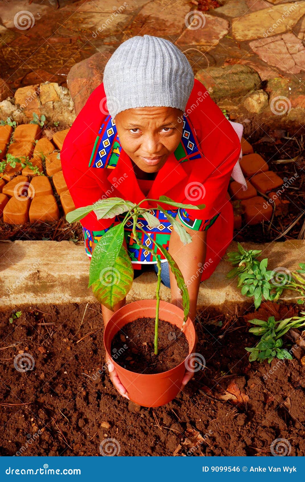 African female planter stock photo. Image of agriculture - 9099546