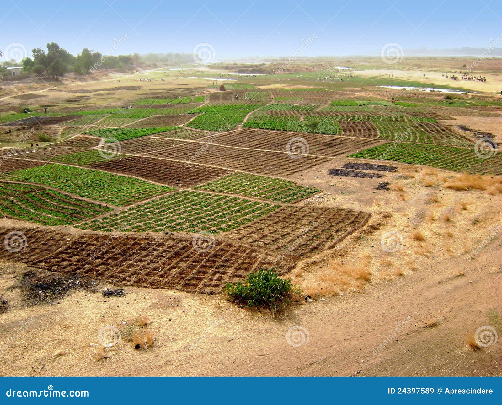 African fileds stock image. Image of nature, developing - 24397589