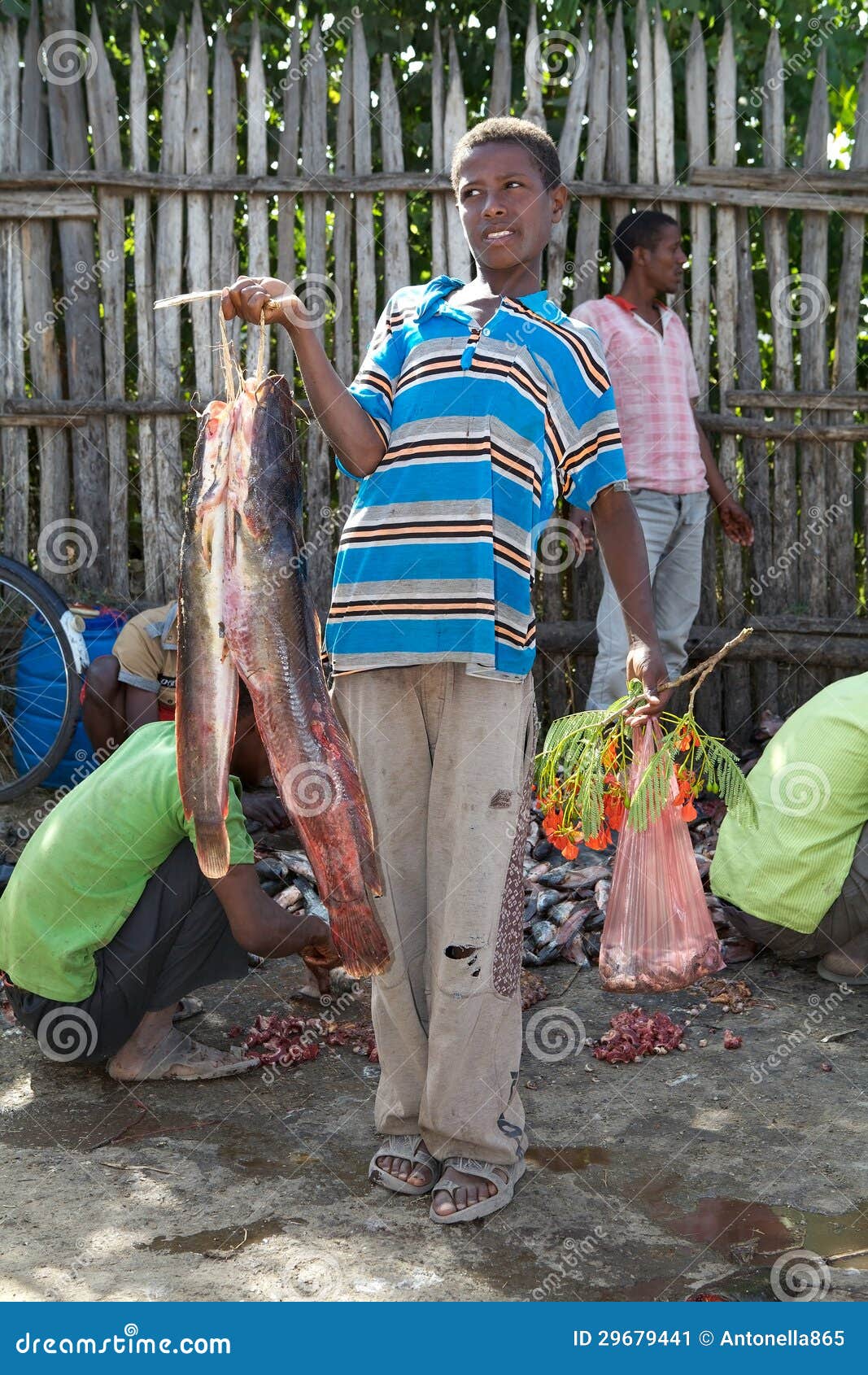 African Fisherman and Catfish Editorial Photo - Image of africa ...