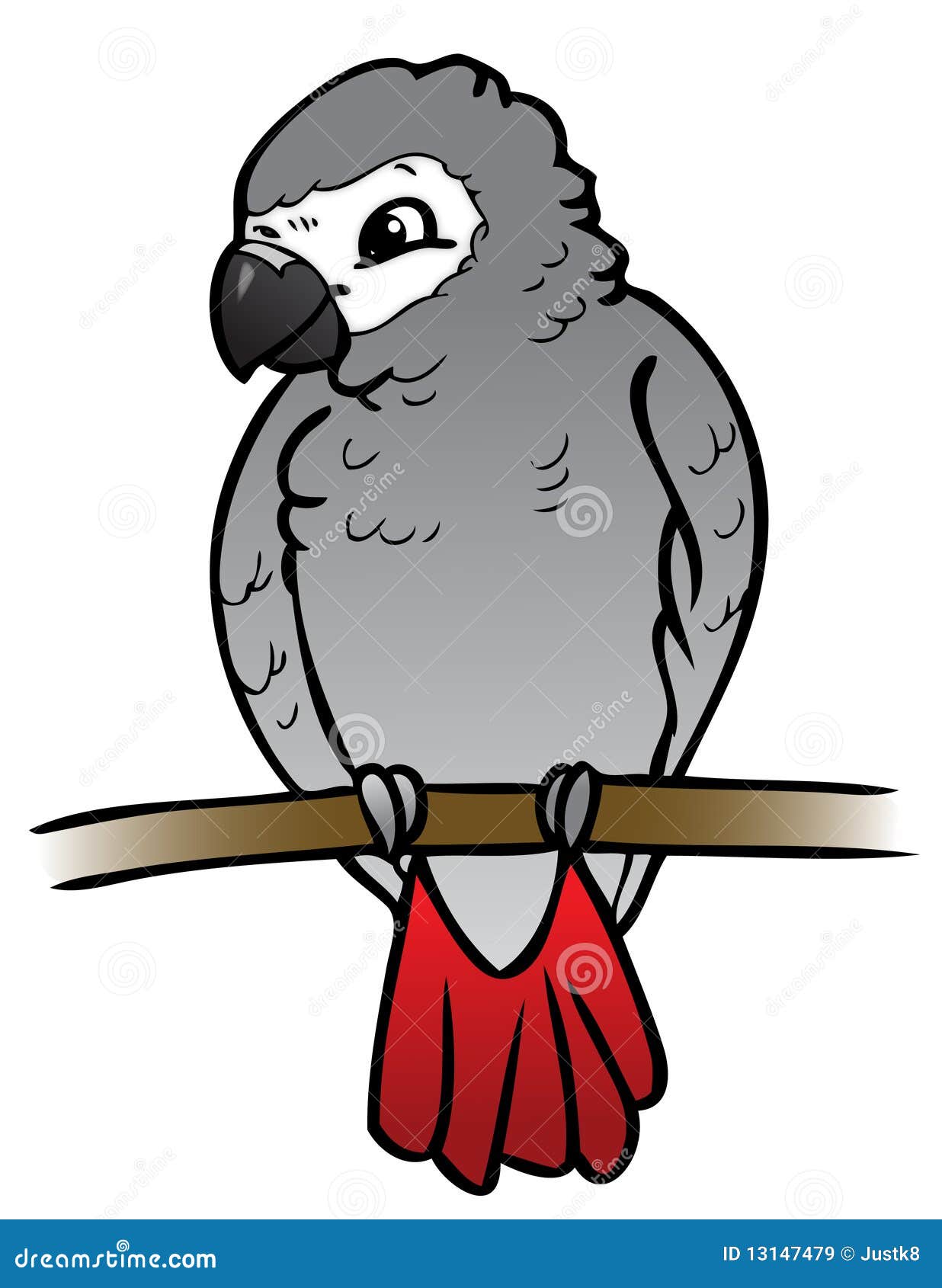 African Grey Parrot - Illustration Stock Vector - Illustration of store ...
