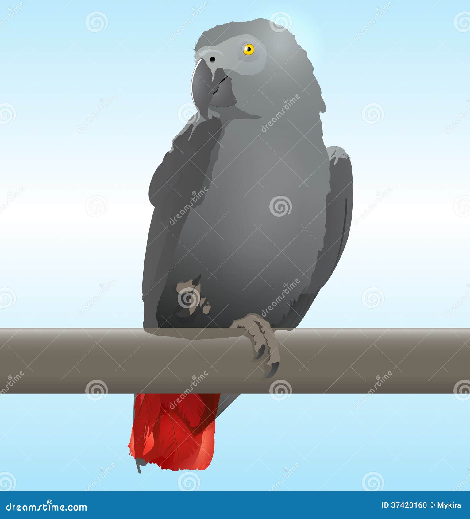 African Grey Parrot Skeleton Vector Silhouette Illustration Isolated On ...