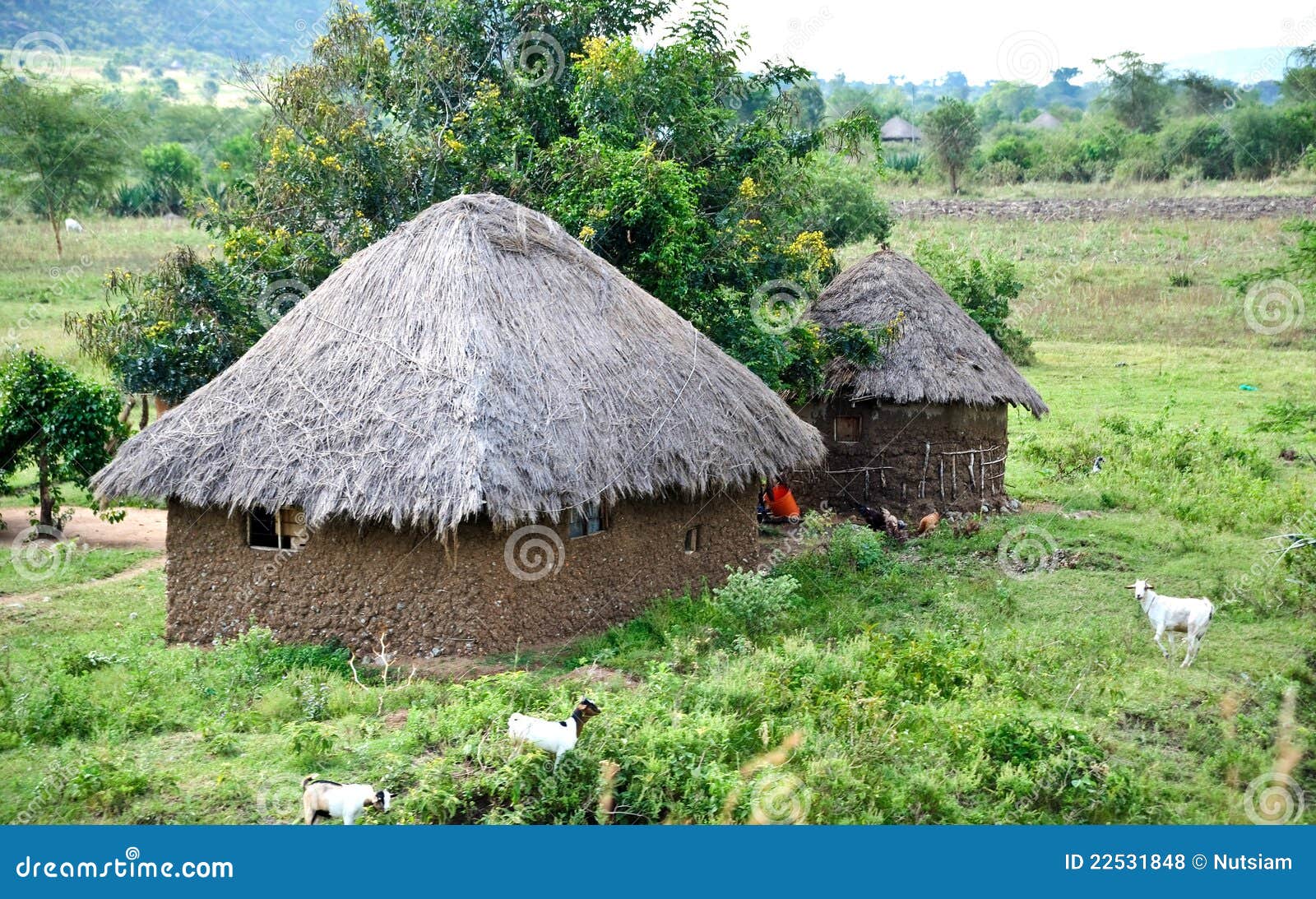 African home stock photo. Image of natural, house, traditional - 22531848