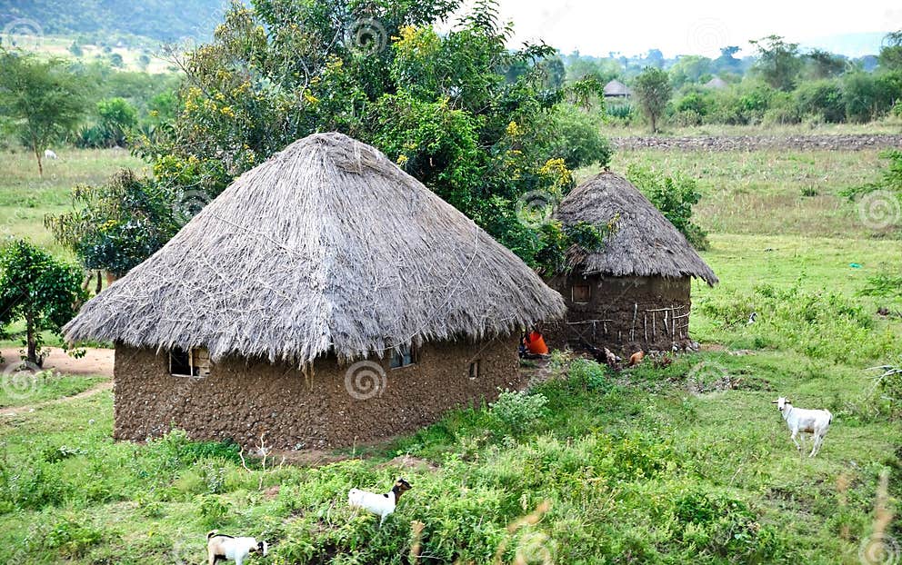 African home stock photo. Image of natural, house, traditional - 22531848