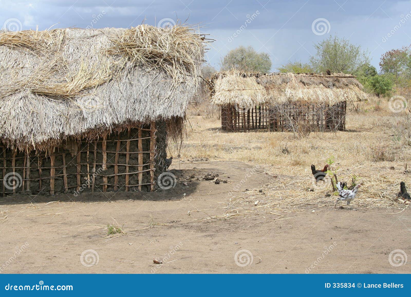 African home stock photo. Image of tanzania, sticks, dwell - 335834
