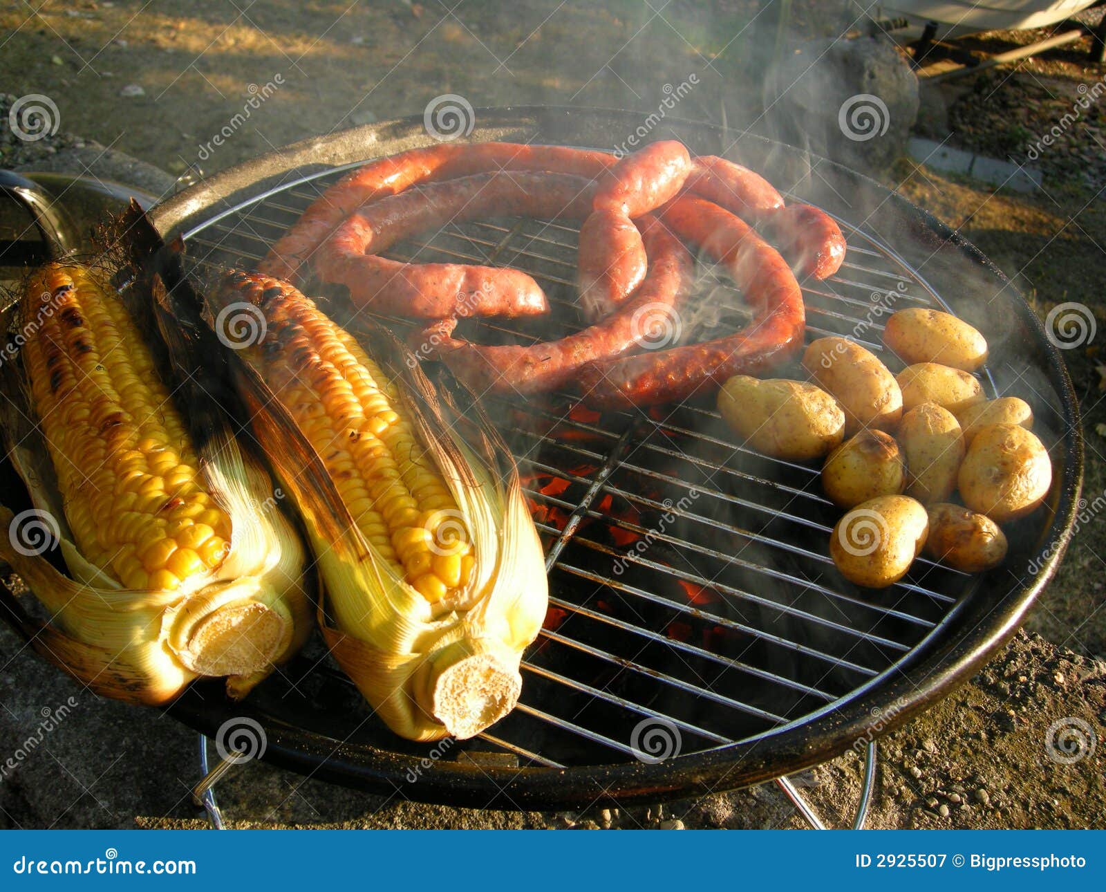 African hot charcoal braai stock image. Image of grilling - 2925507