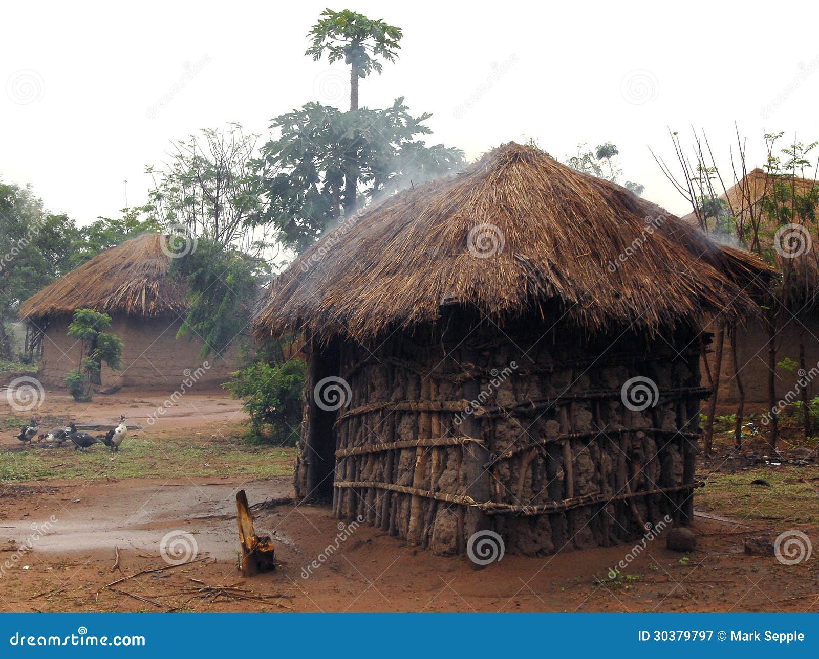 African Huts editorial photography. Image of tanzania - 30379797