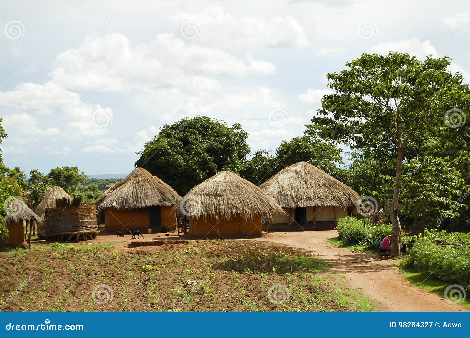 African Huts - Zambia stock image. Image of south, savanna - 98284327