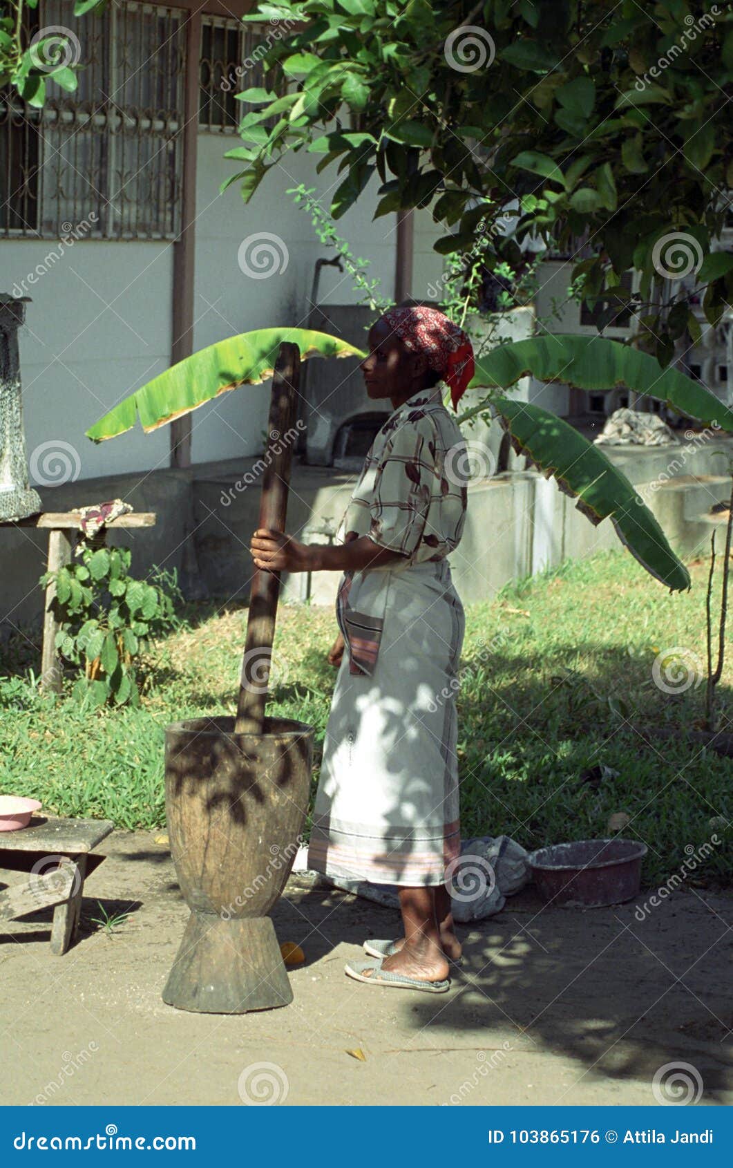 African Lady, Inhambane, Mozambique Editorial Photo - Image of life ...