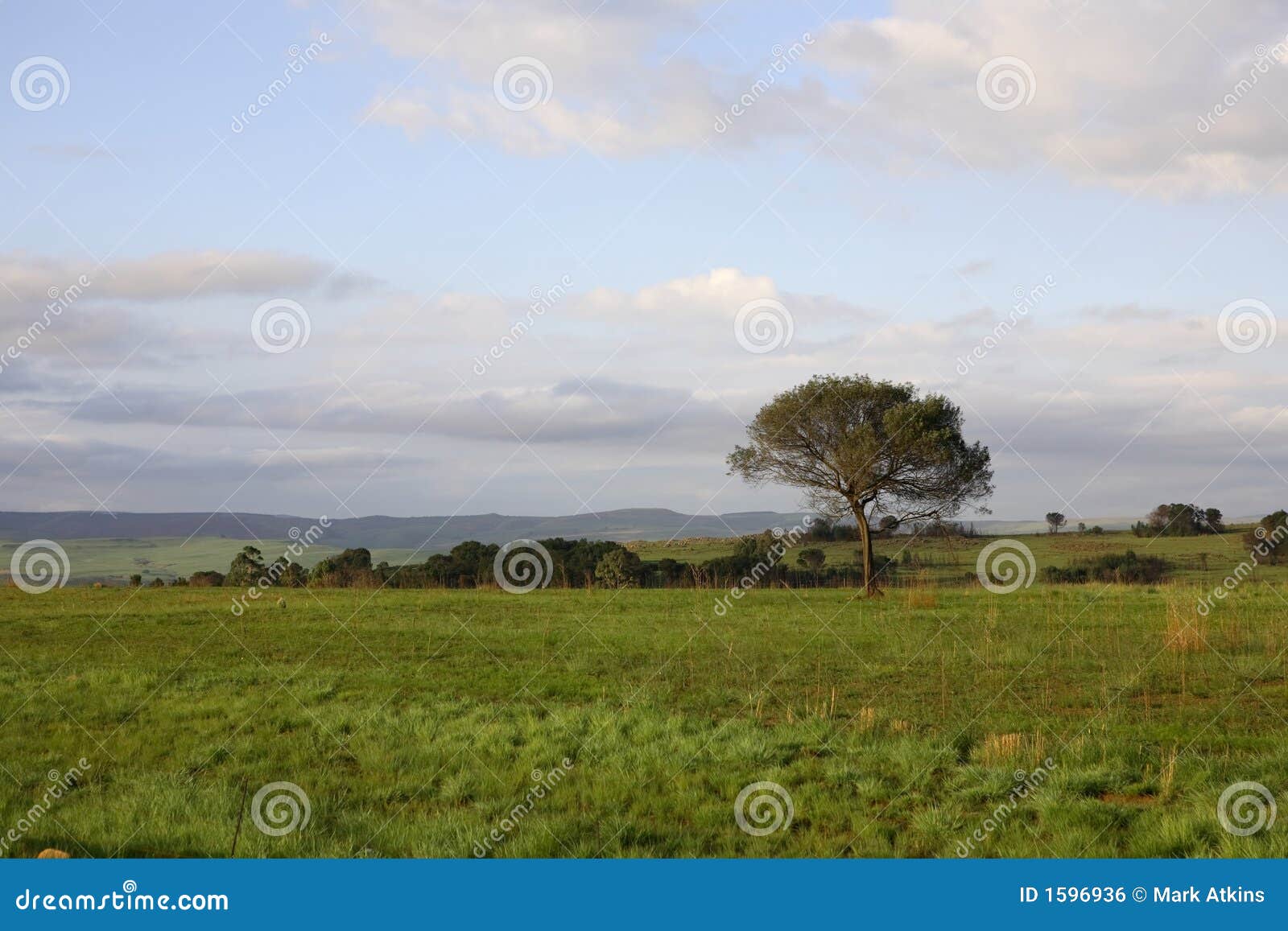 African Landscape stock photo. Image of clouds, countryside - 1596936
