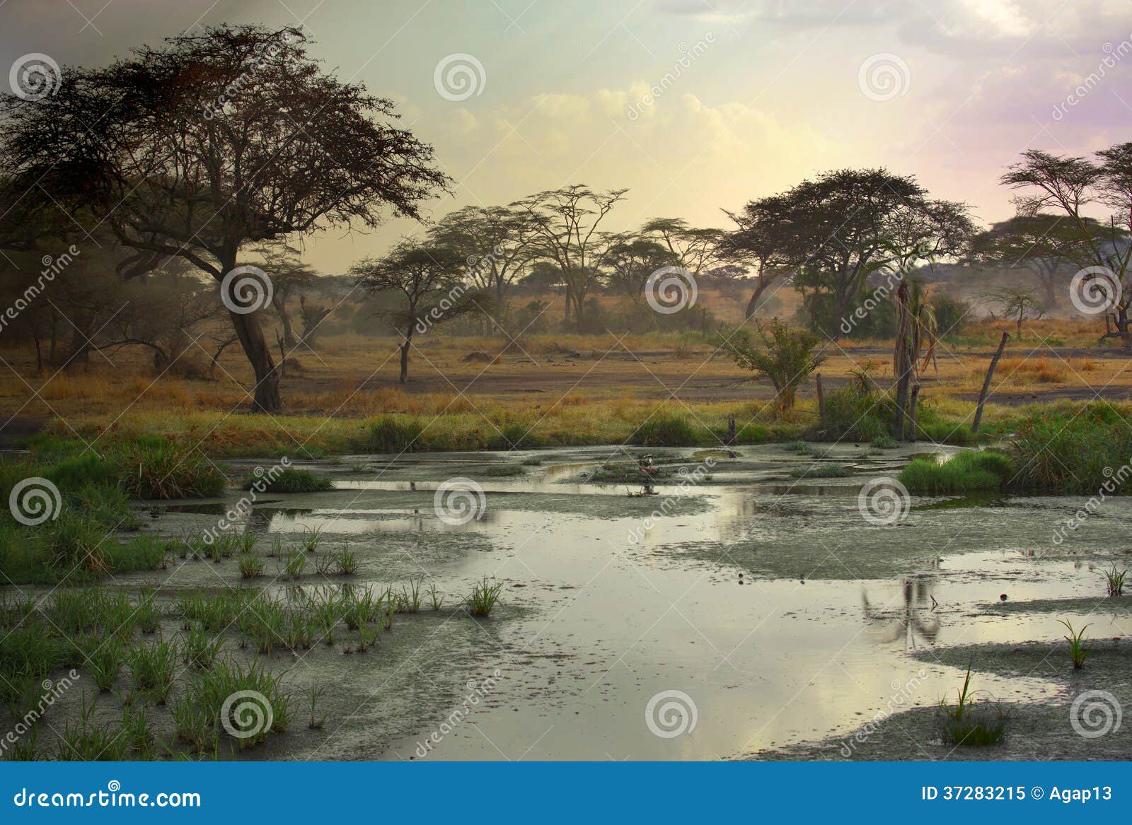 African Landscape Stock Photo | CartoonDealer.com #6074652