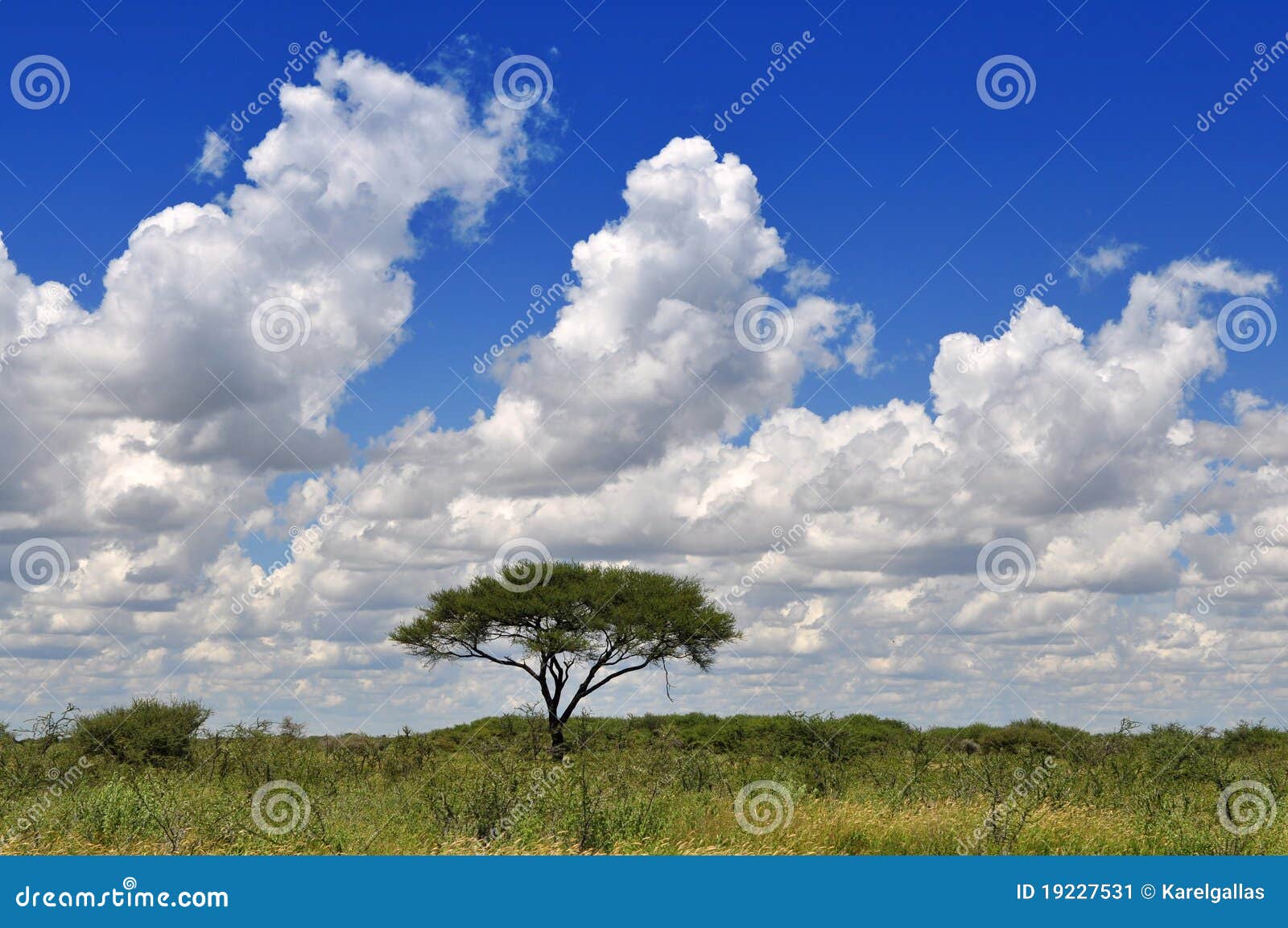 African Landscape with Clouds Stock Image - Image of tsumeb, contrast ...