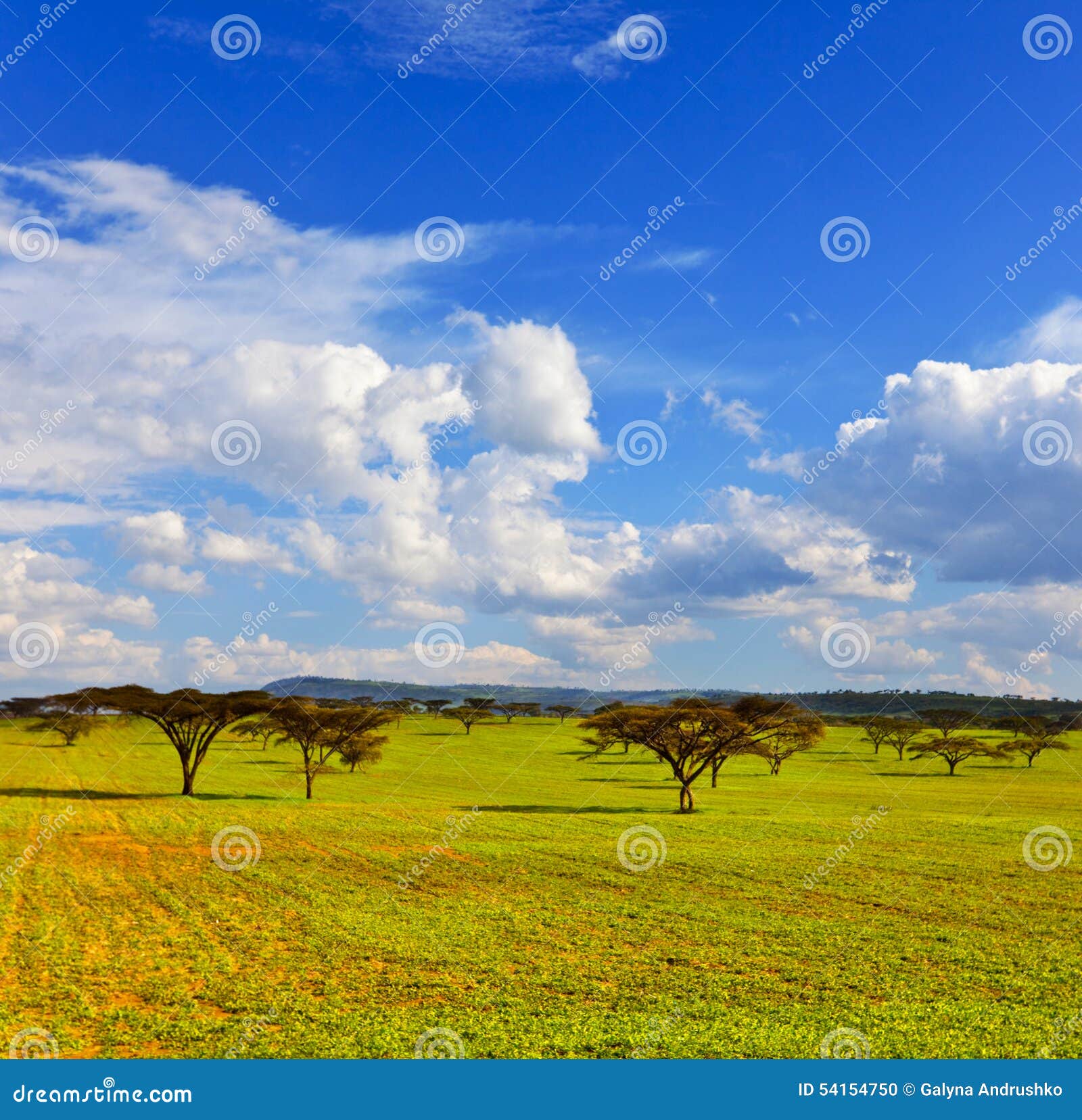 African landscape stock photo. Image of landscape, view - 54154750