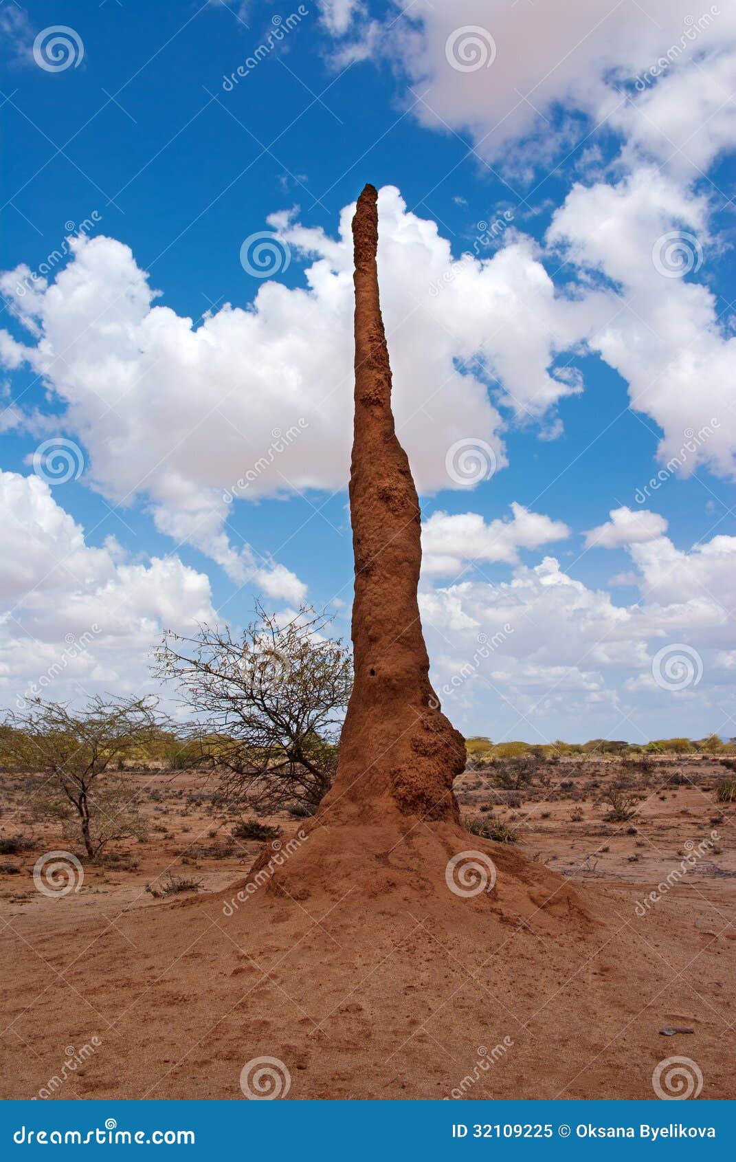 African Landscape with Termitary Stock Image - Image of sand, morning ...
