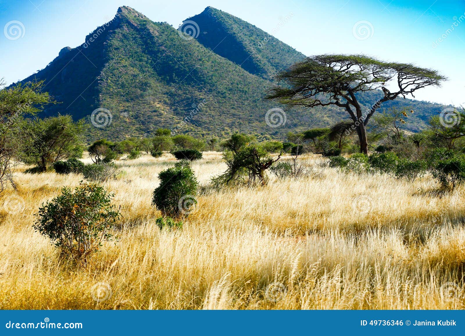 African Landscape Stock Photo | CartoonDealer.com #6074652