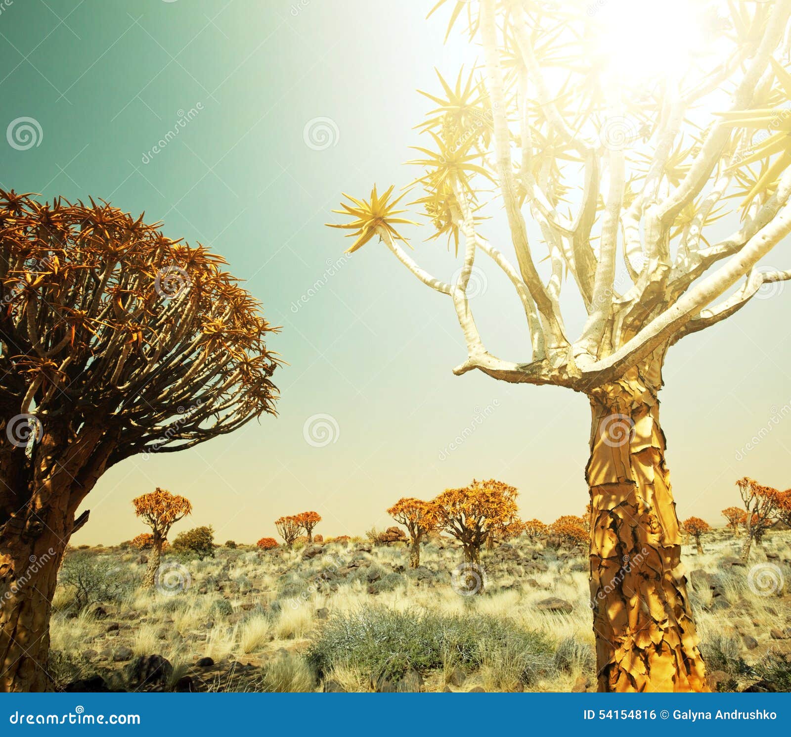 African landscapes stock photo. Image of green, africa - 54154816