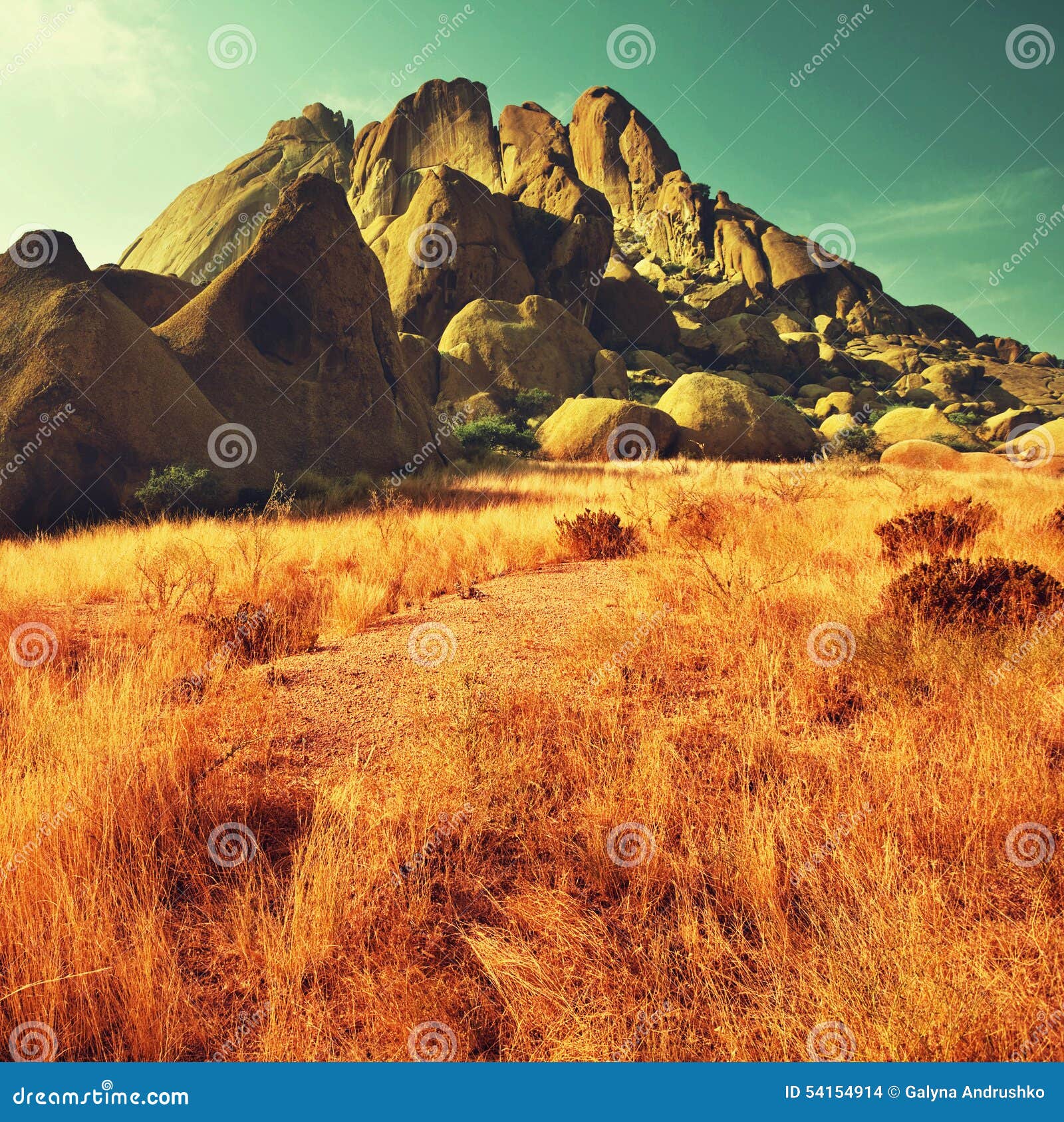 African landscapes stock photo. Image of park, tree, grass - 54154914