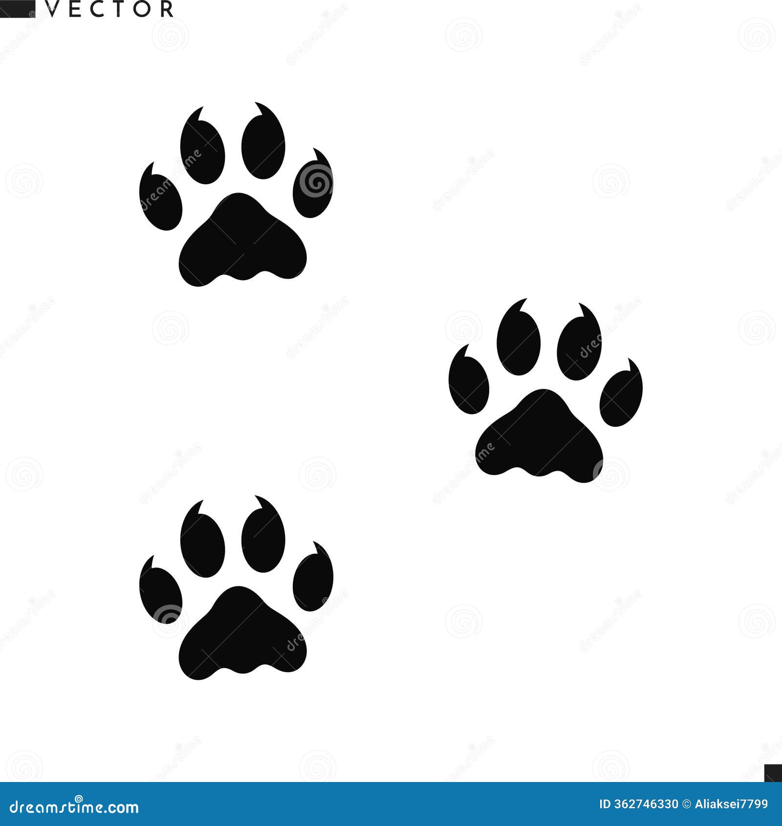 African lion paw prints stock illustration. Illustration of leopard ...