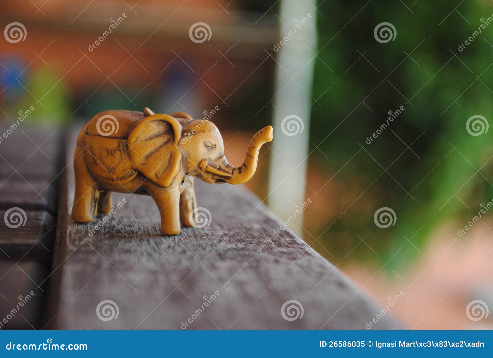 African luckily elephant stock image. Image of jewel - 26586035