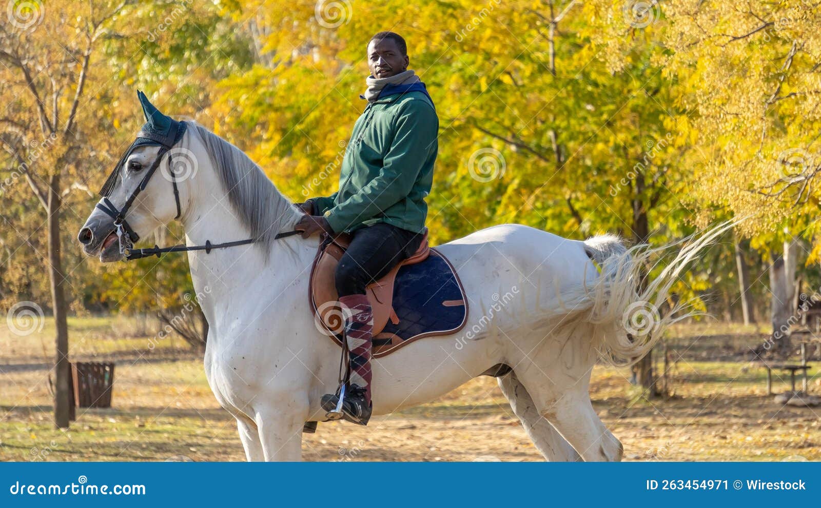 African Man Riding a White Horse Stock Image - Image of purebred, white ...