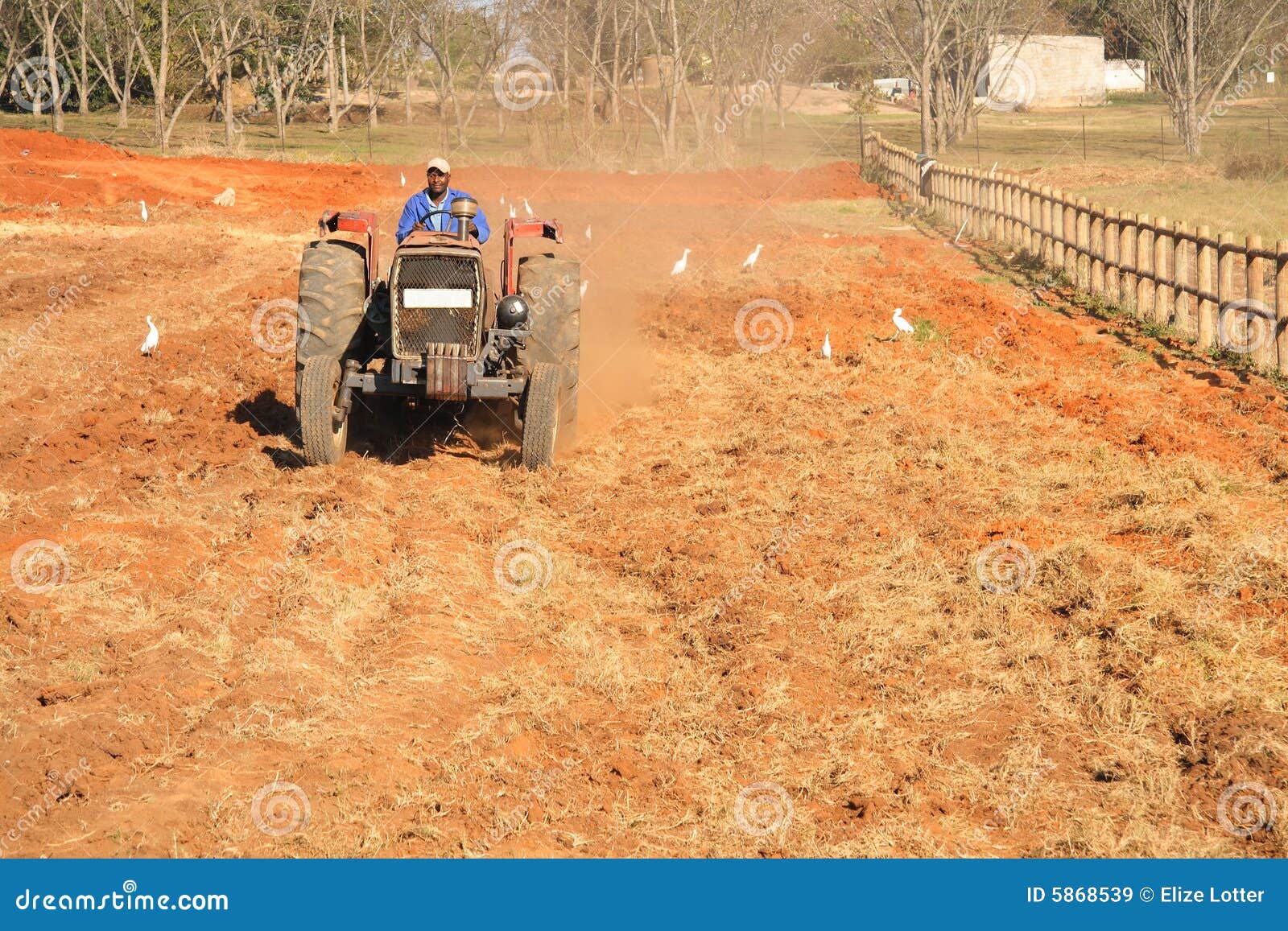 African Man on Tractor Tilling Stock Image - Image of farmer, labor ...