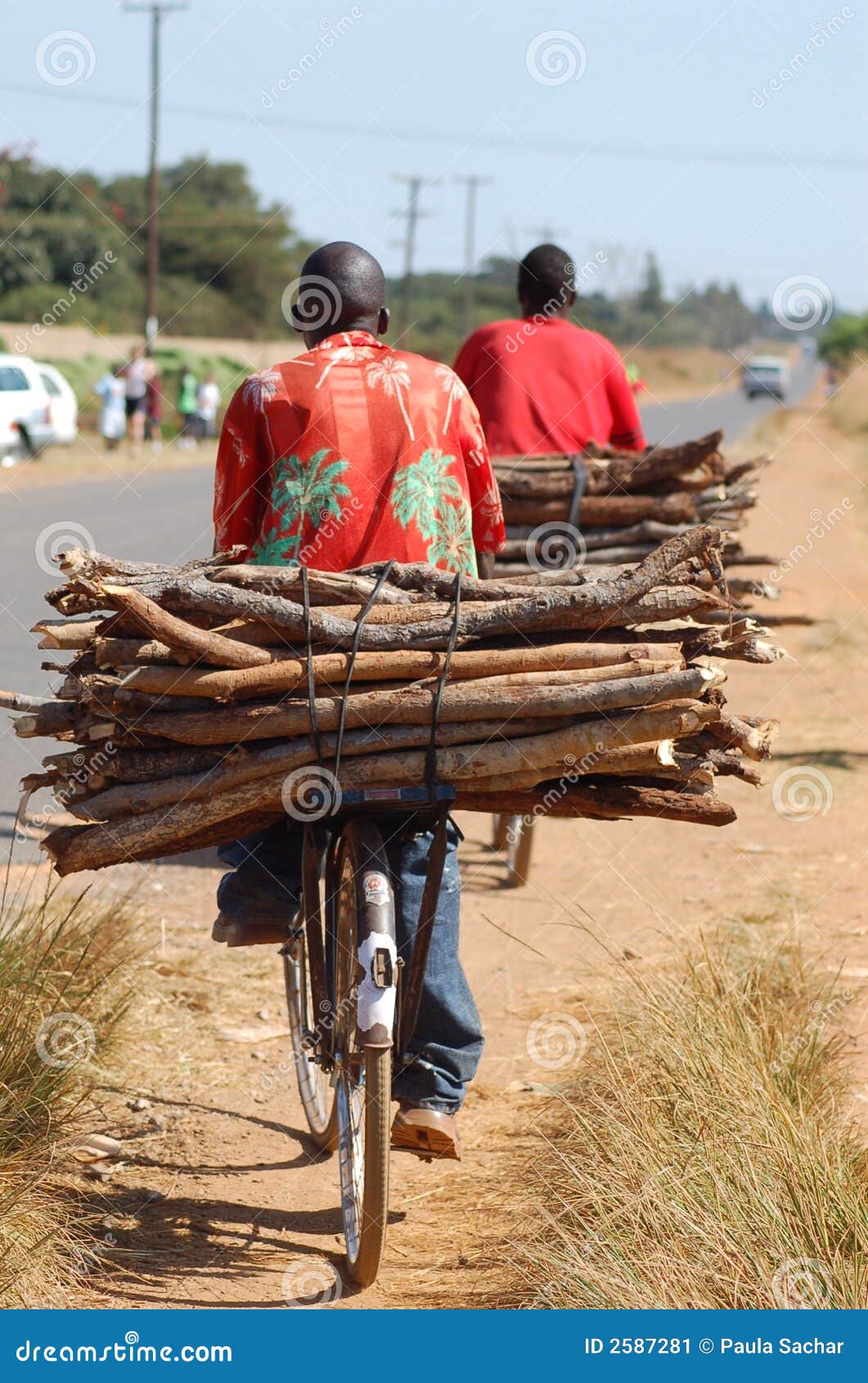 African Man Transporting Wood Stock Image - Image of carry, transport ...
