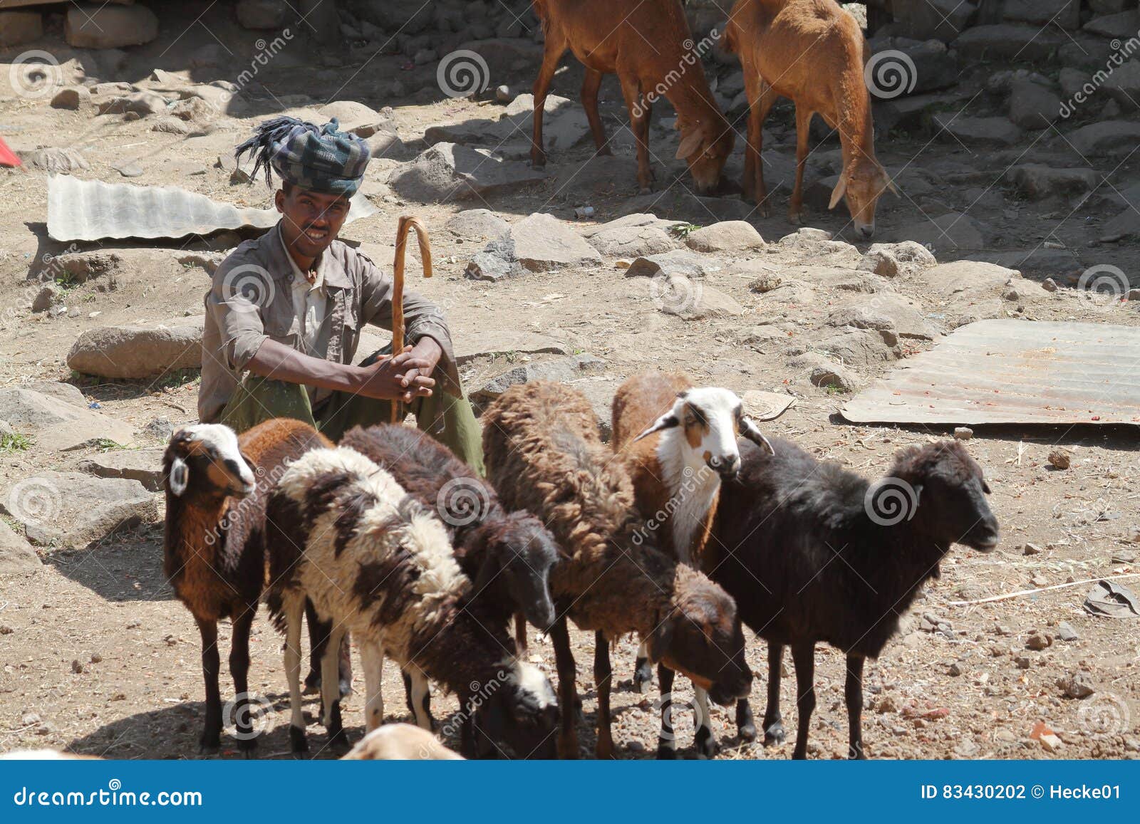 African Market of Debark in Ethiopia Editorial Photography - Image of ...