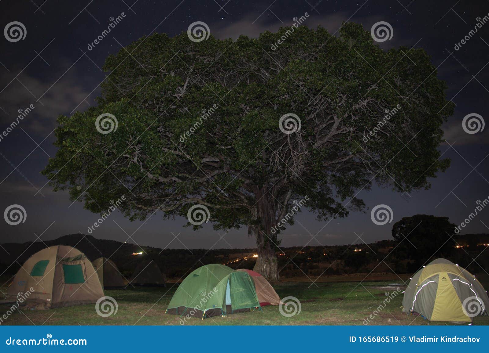African Night Crawler, Earthworms And Fertile Soil Isolated On White ...