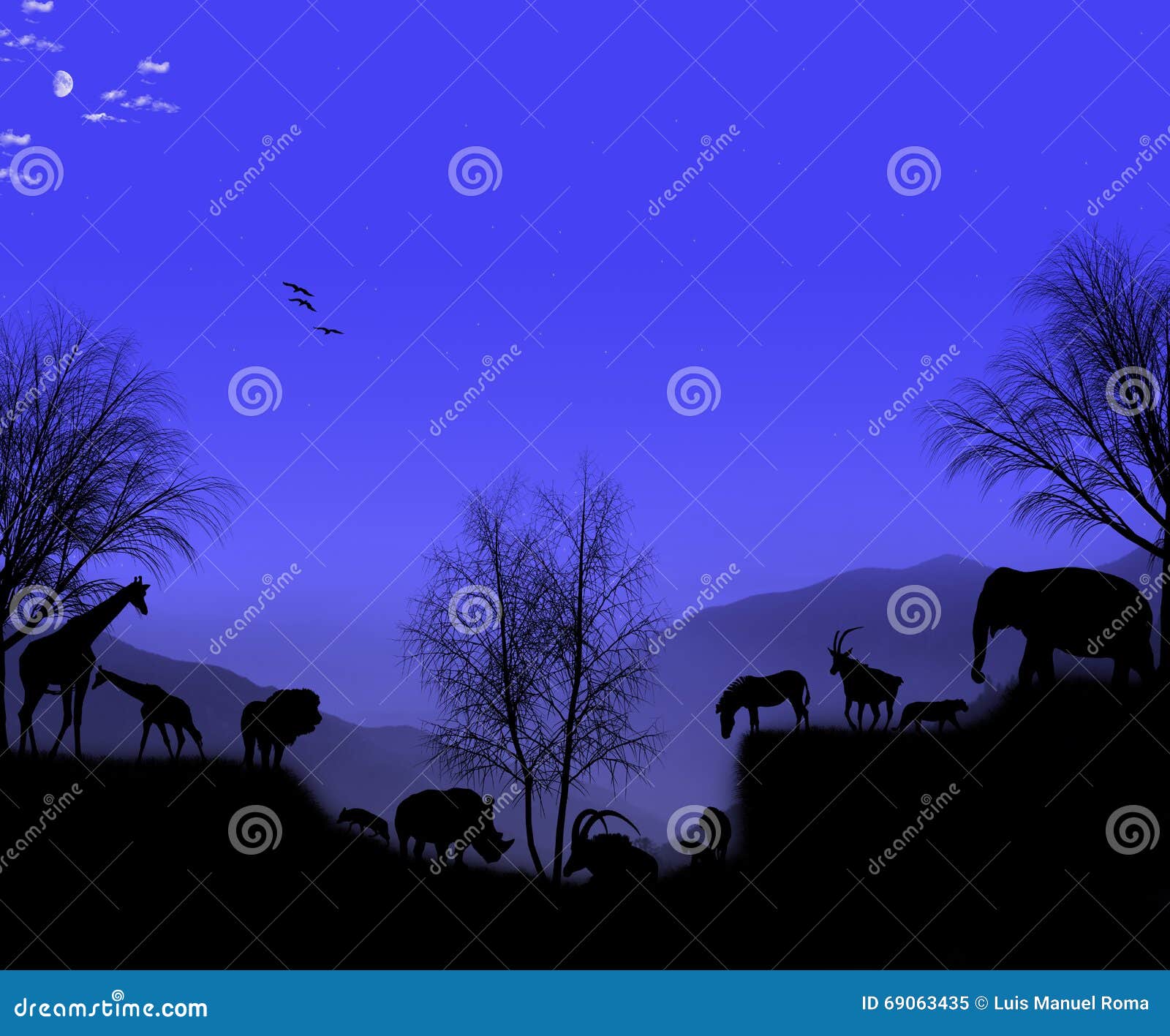 African Nocturnal Atmosphere Stock Image - Image of elephant, cougar ...