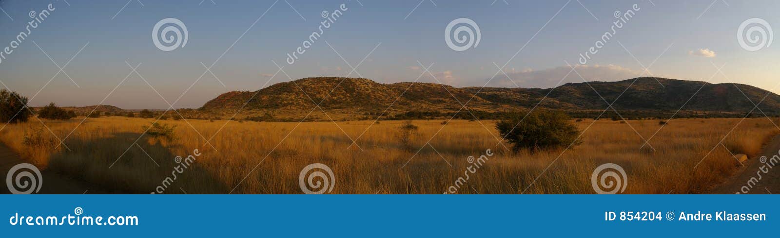 African Panorama stock photo. Image of horizontal, savana - 854204