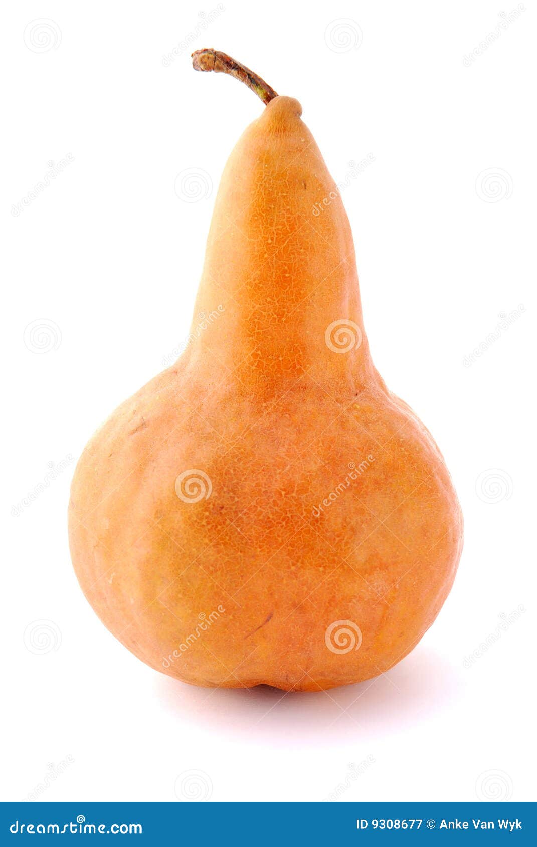 African Pear Royalty Free Stock Photography - Image: 9308677