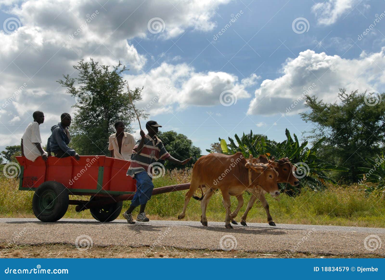 African people editorial stock image. Image of carriage - 18834579