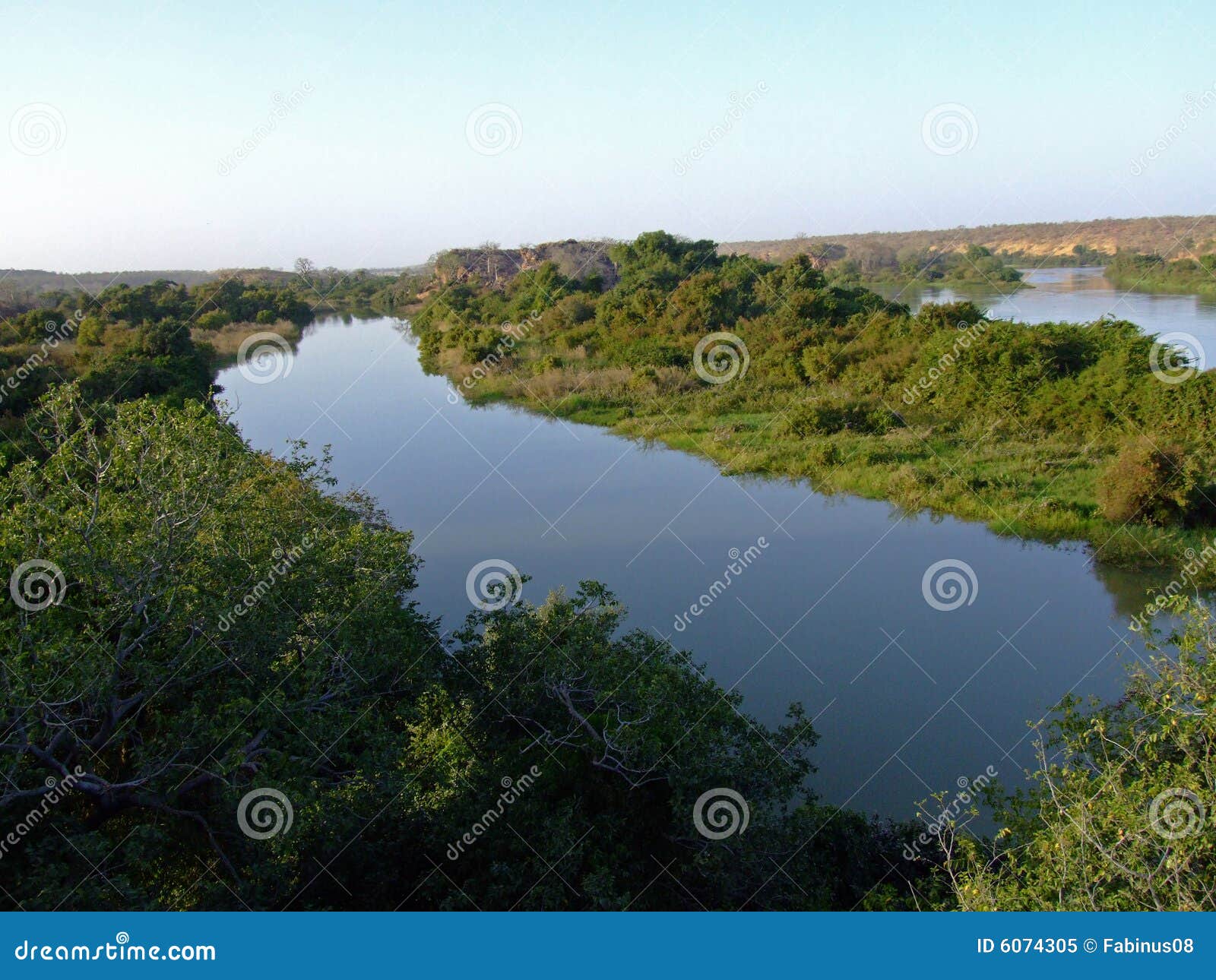 African river stock image. Image of african, desert, tree - 6074305