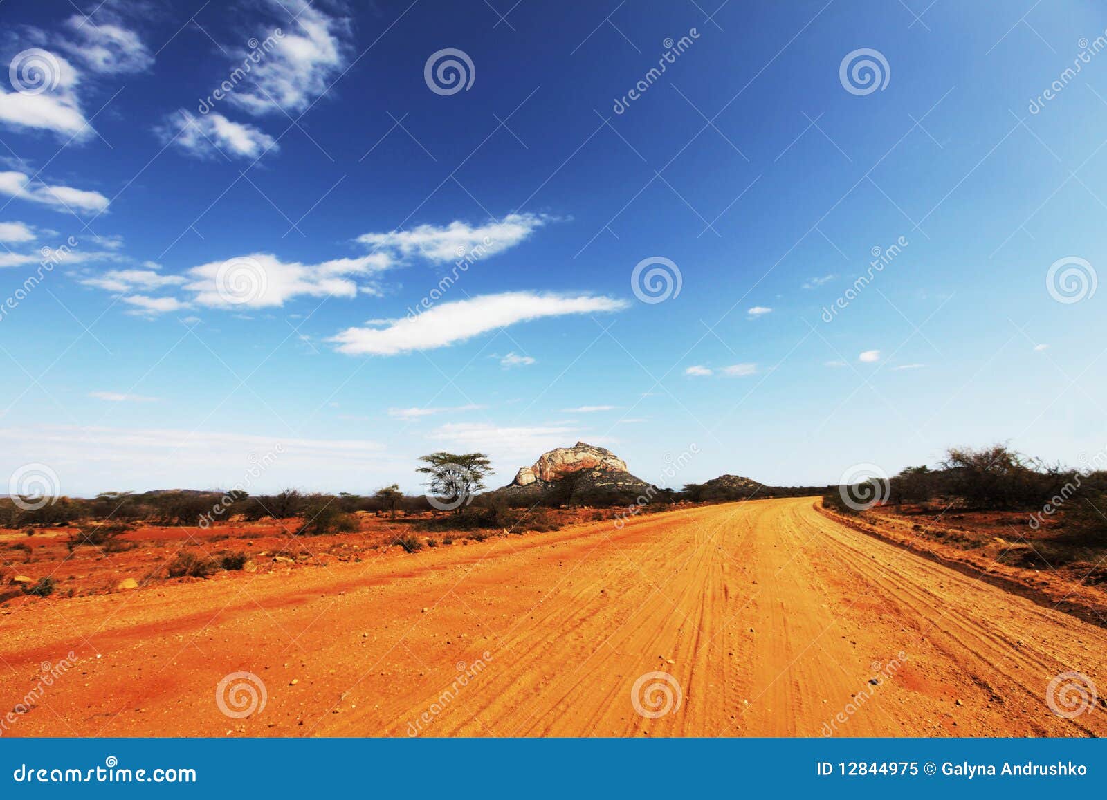 African road stock image. Image of wilderness, nature - 12844975