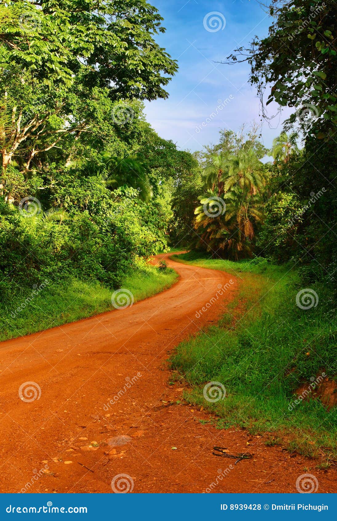 African road stock photo. Image of green, landscape, road - 8939428