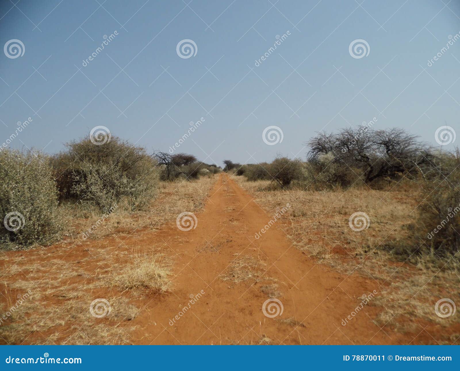 African Road stock image. Image of dusty, african, savannah - 78870011