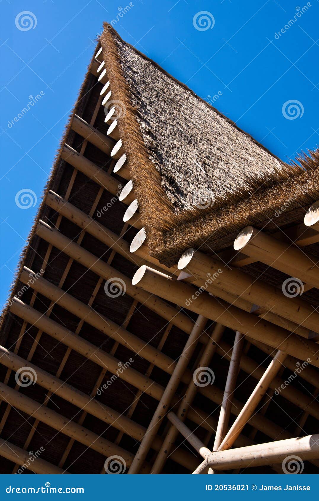 African Roof stock image. Image of thatch, construction - 20536021