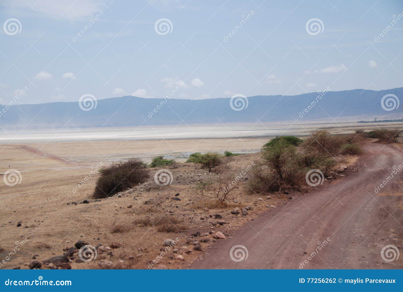 African Route stock photo. Image of road, route, safari - 77256262